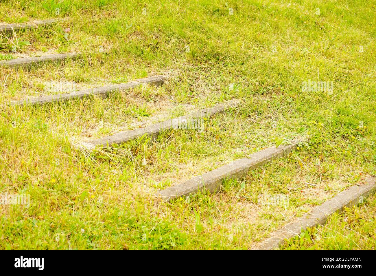 Stairs overgrown grass lawn with stairs Stock Photo - Alamy