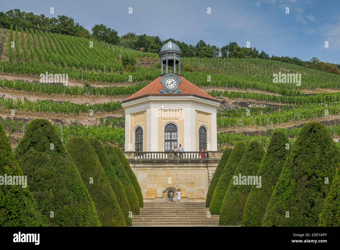 Belvedere, Weinberge, Schloß Wackerbarth, Radebeul, Sachsen ...
