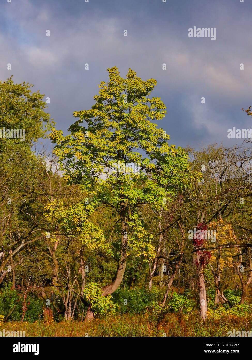 Fall turn hi-res stock photography and images - Alamy