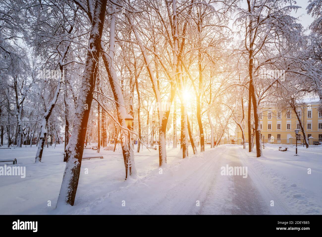 Sunset or sunrise in a winter park with trees, benches and a pavement ...