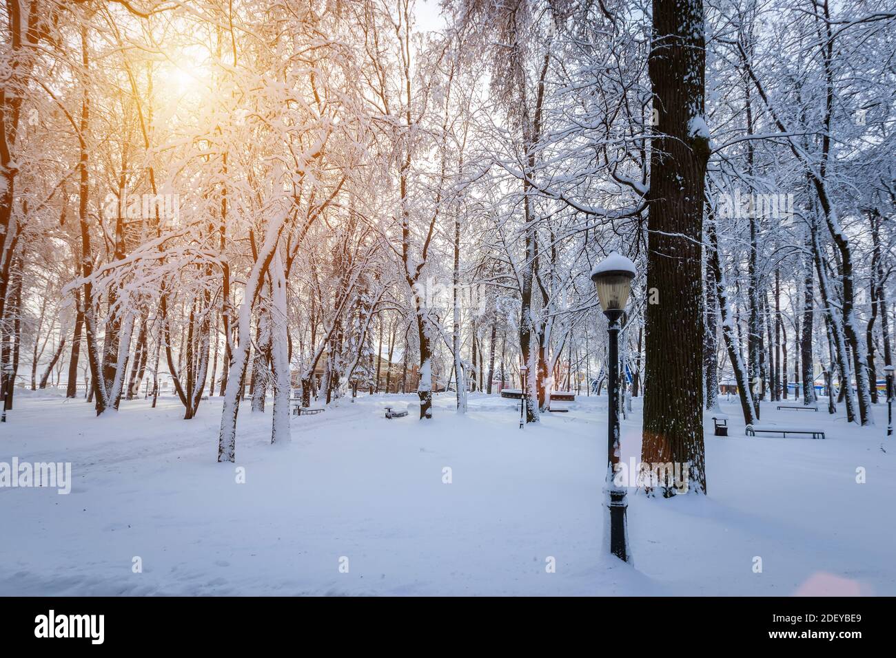 Sunset or sunrise in a winter park with trees, benches and a pavement ...