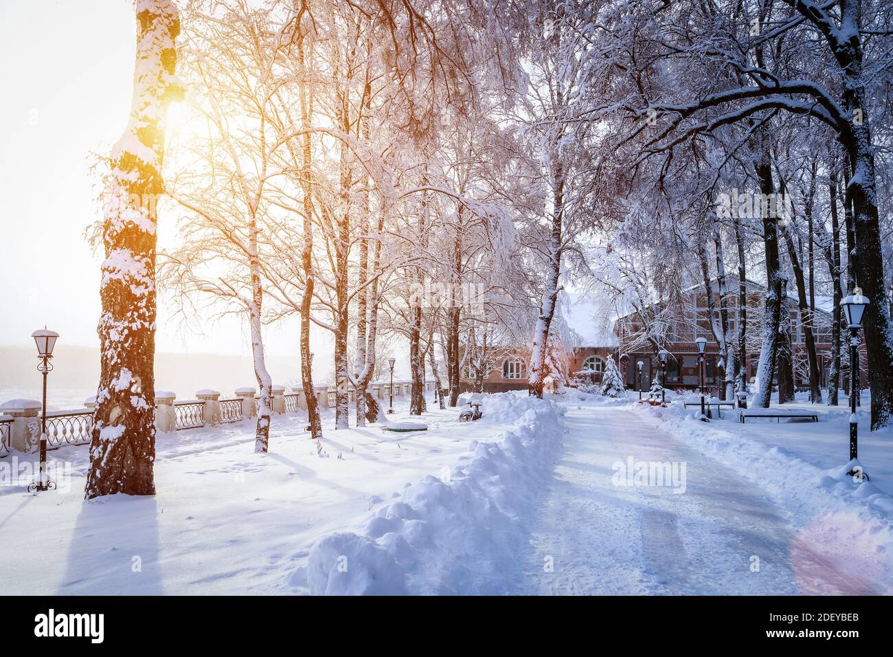 Sunset or sunrise in a winter park with trees, benches and a pavement ...