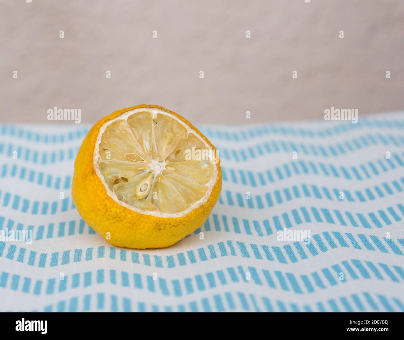 Half rotten hi-res stock photography and images - Alamy