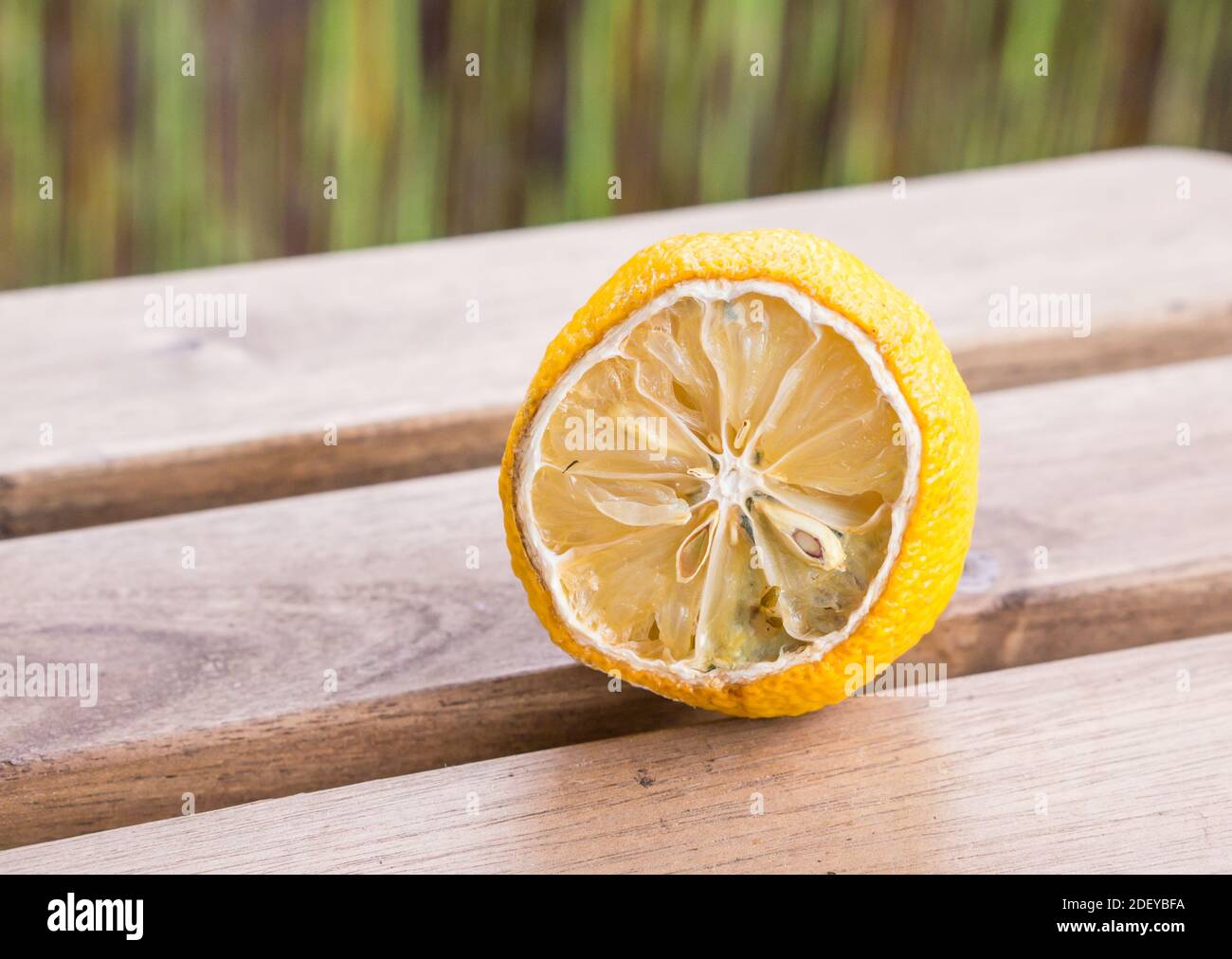 A closeup shot of a rotten lemon fruit half slice on a wooden table ...