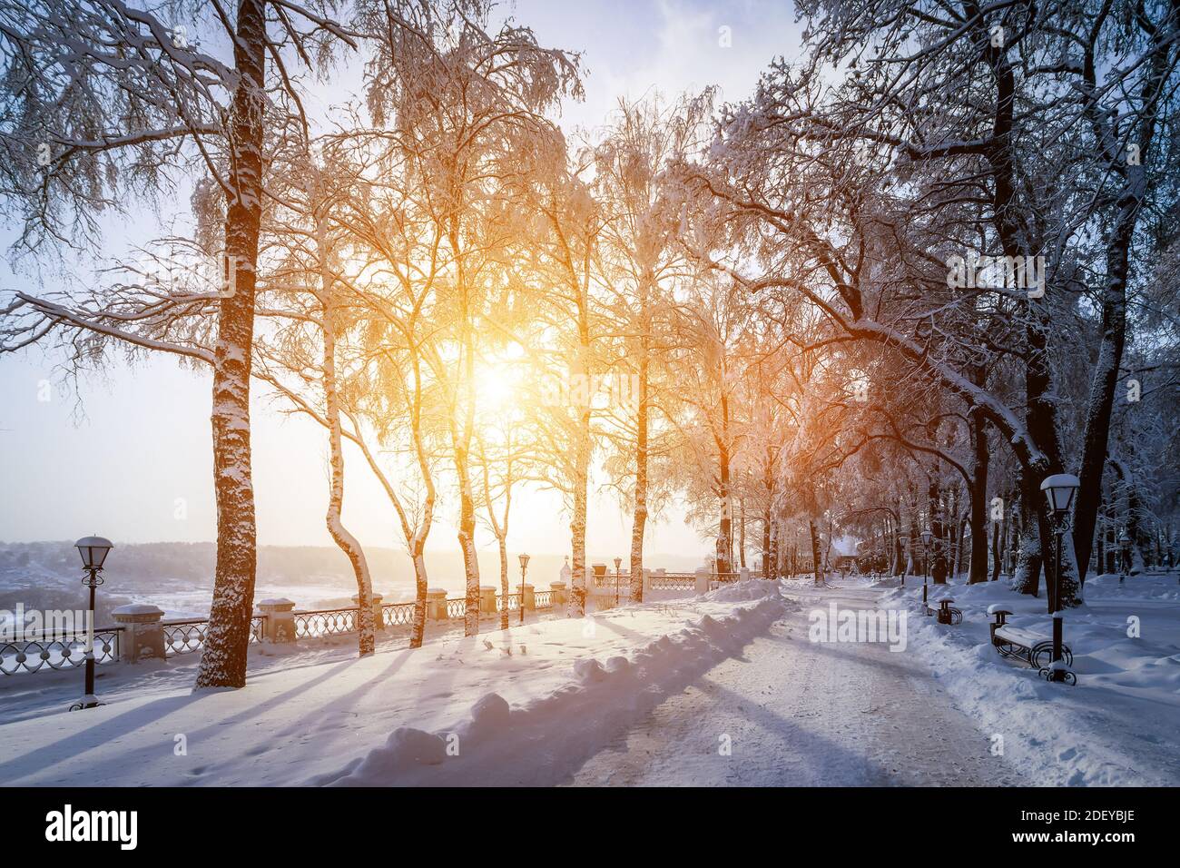 Sunset or sunrise in a winter park with trees, benches and a pavement ...