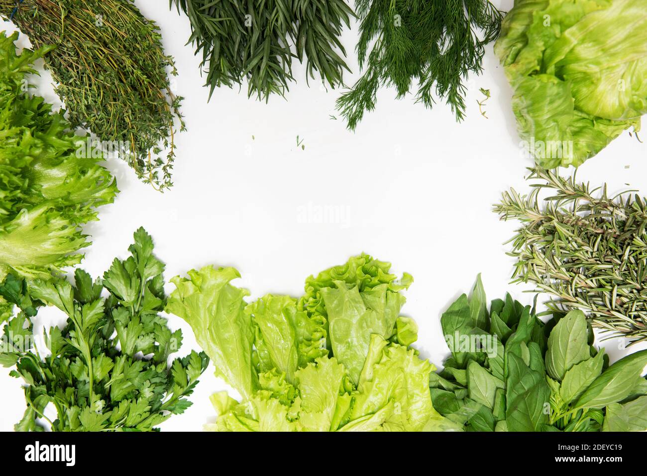Different types of fresh garden herbs isolated on white background ...