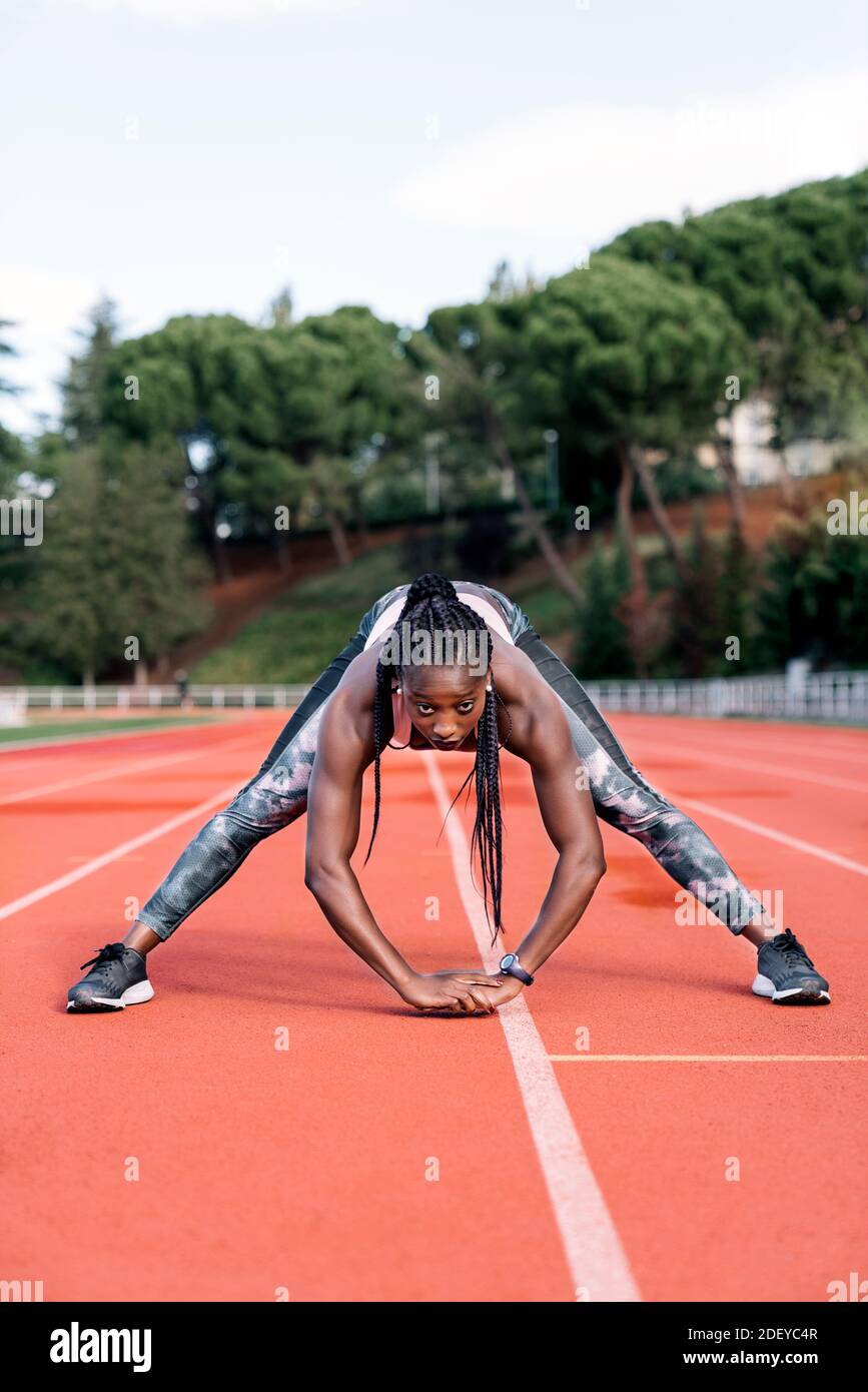 Stock photo of an African-American sprinter stretching her legs before ...