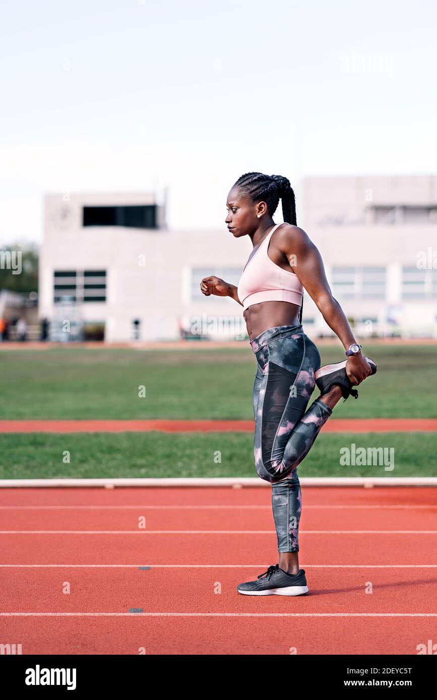 Stock photo of an African-American sprinter stretching her legs before ...