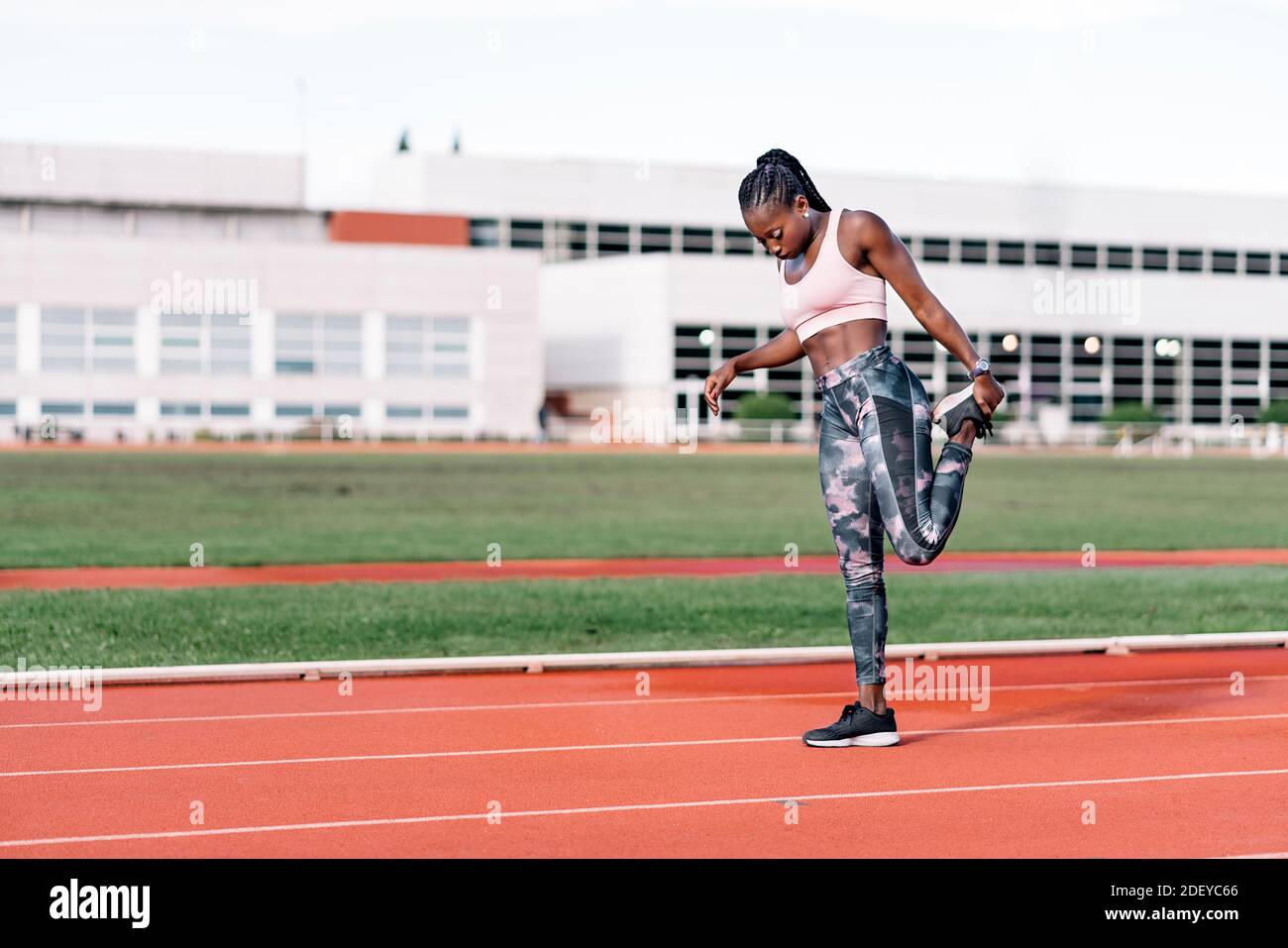 Stock photo of an African-American sprinter stretching her legs before ...