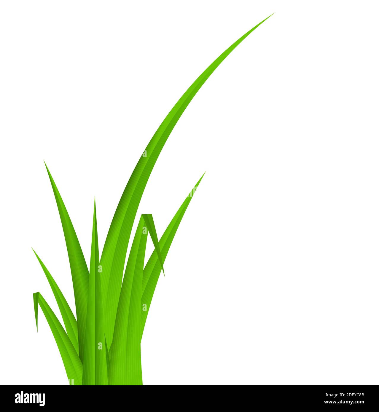 Summer Abstract Background with Grass. Illustration Stock Photo - Alamy