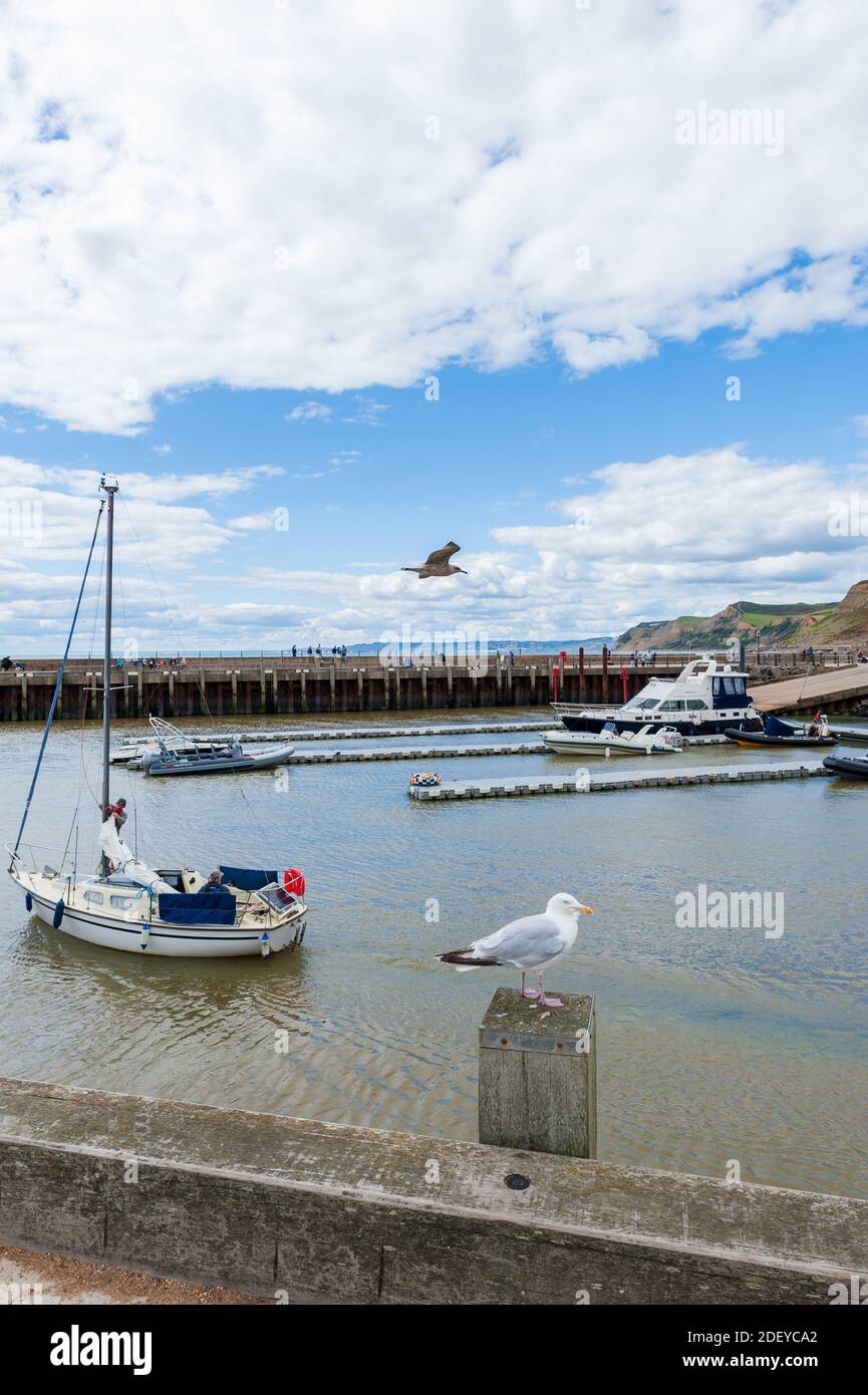 Small yacht motorboat uk hi-res stock photography and images - Alamy