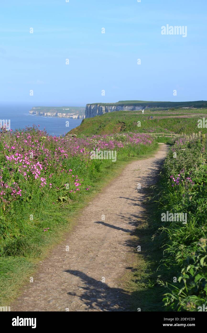 Cliff pathway hi-res stock photography and images - Alamy