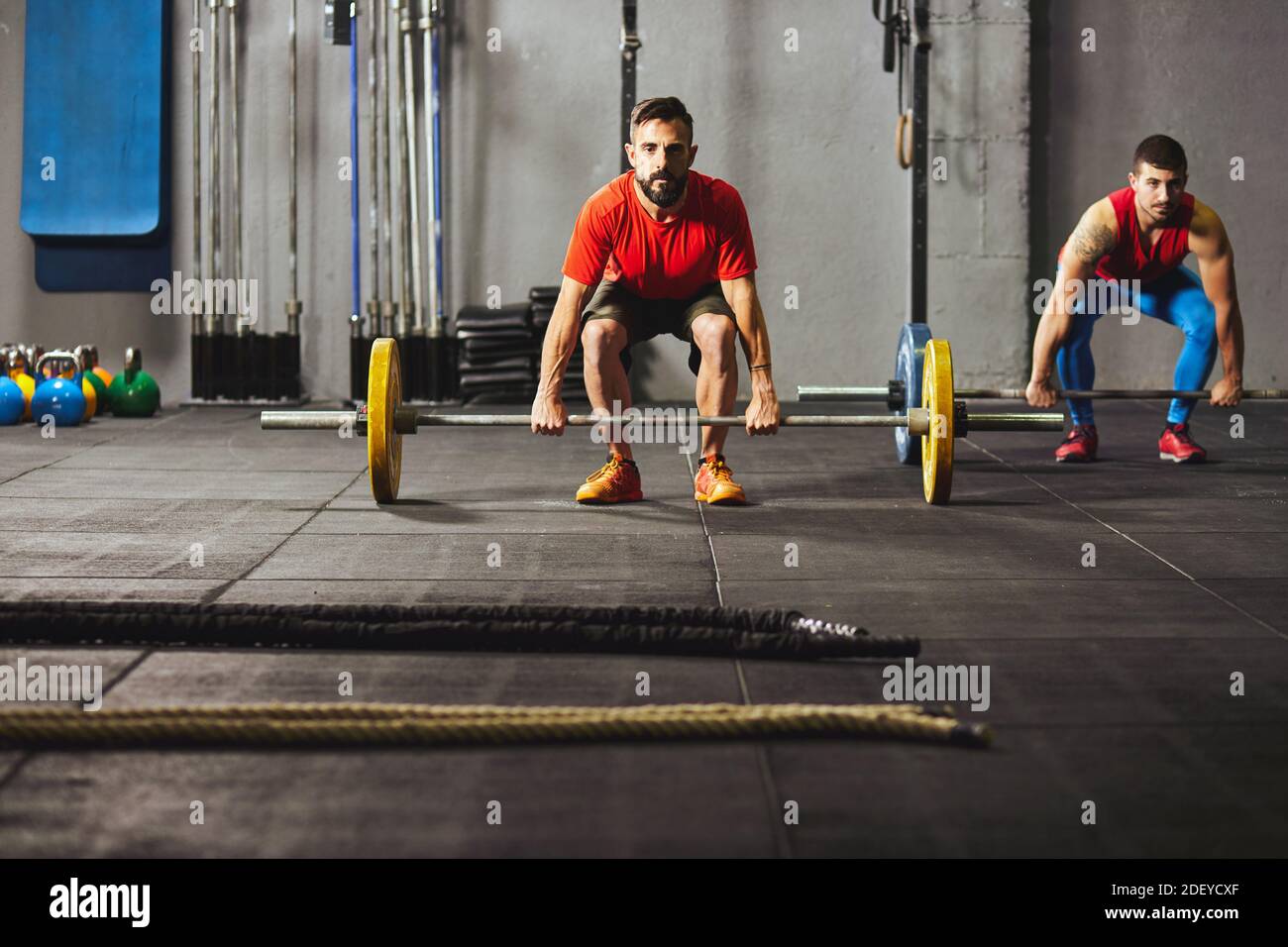 Stock photo of two adult men in a gym squatting down and lifting ...