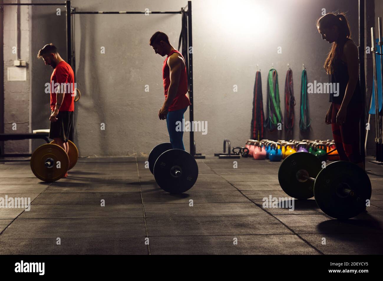 Stock photo of three adults in a gym squatting down and lifting ...