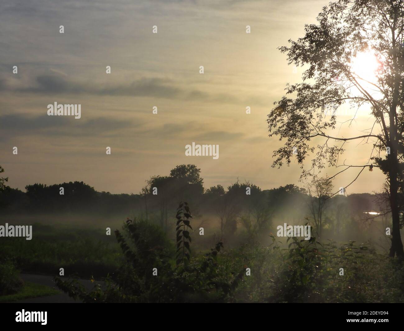 Sun rise rays hi-res stock photography and images - Alamy