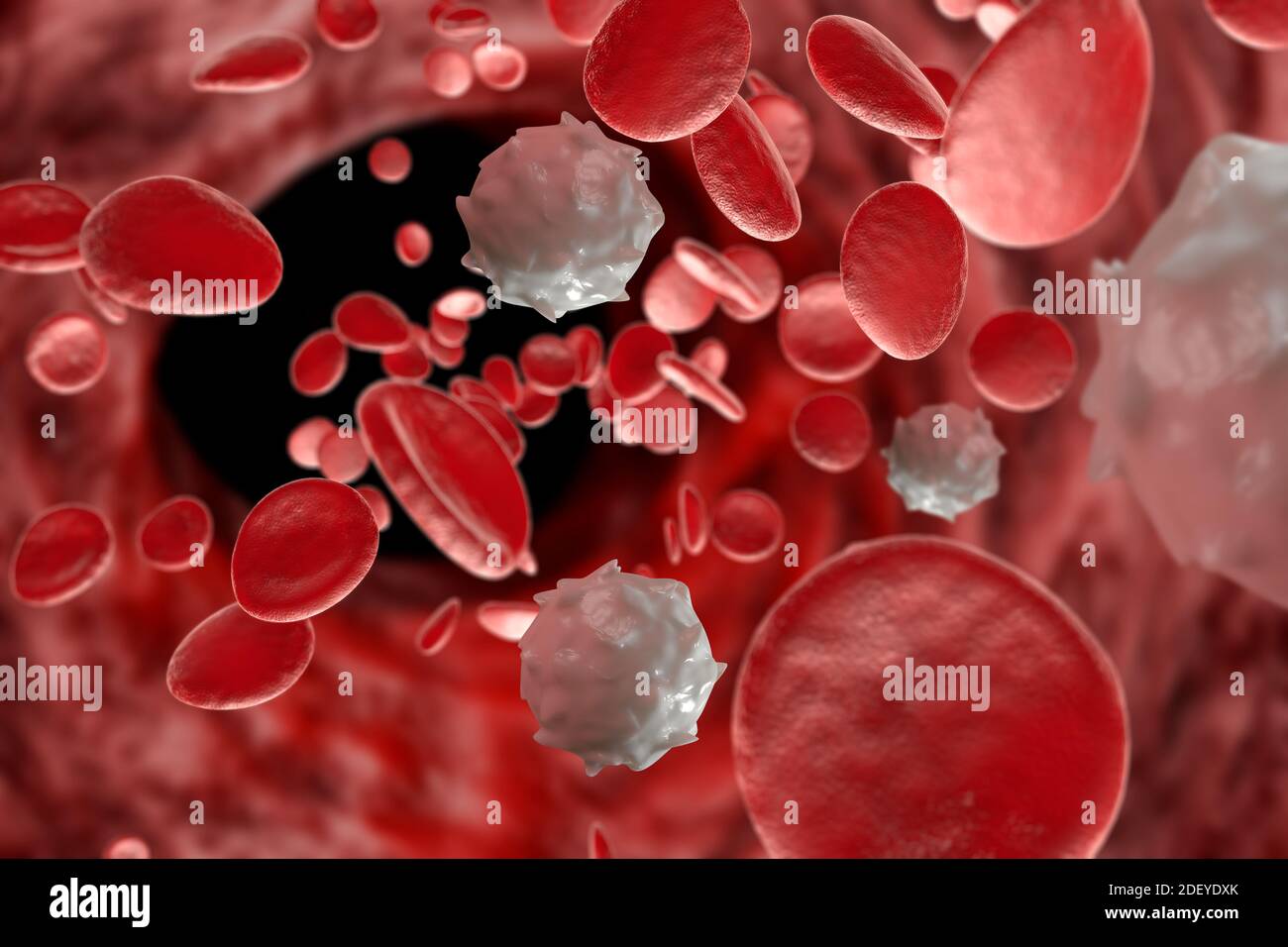 Healthy human red and white bloodcells macro science 3D illustration ...
