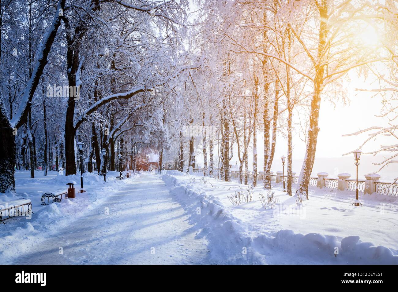 Sunset or sunrise in a winter park with trees, benches and a pavement ...