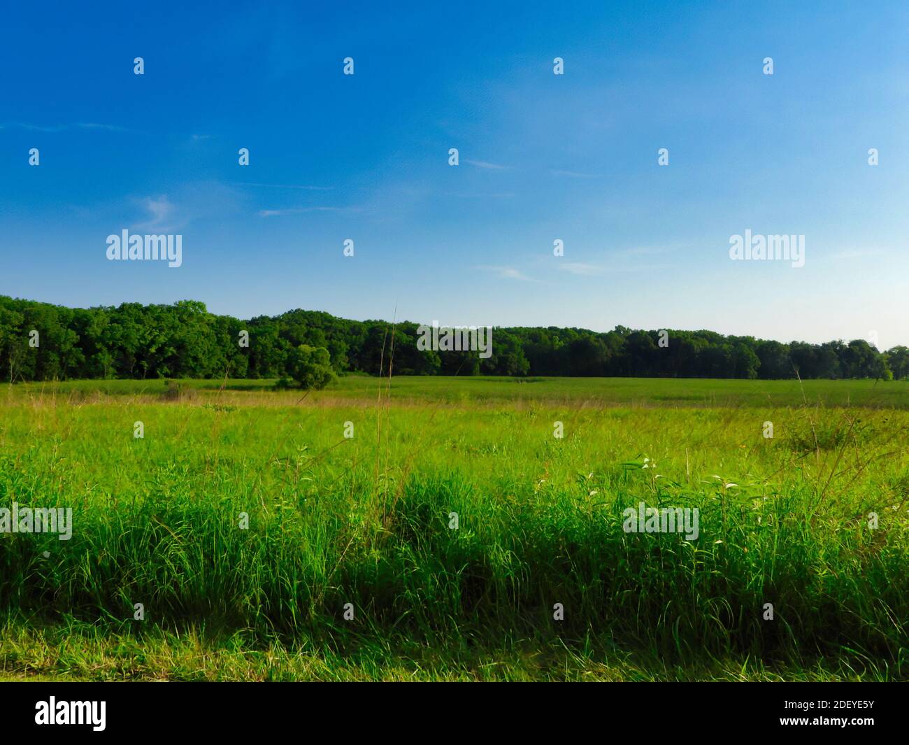 Countryside meadow pasture grass hi-res stock photography and images ...