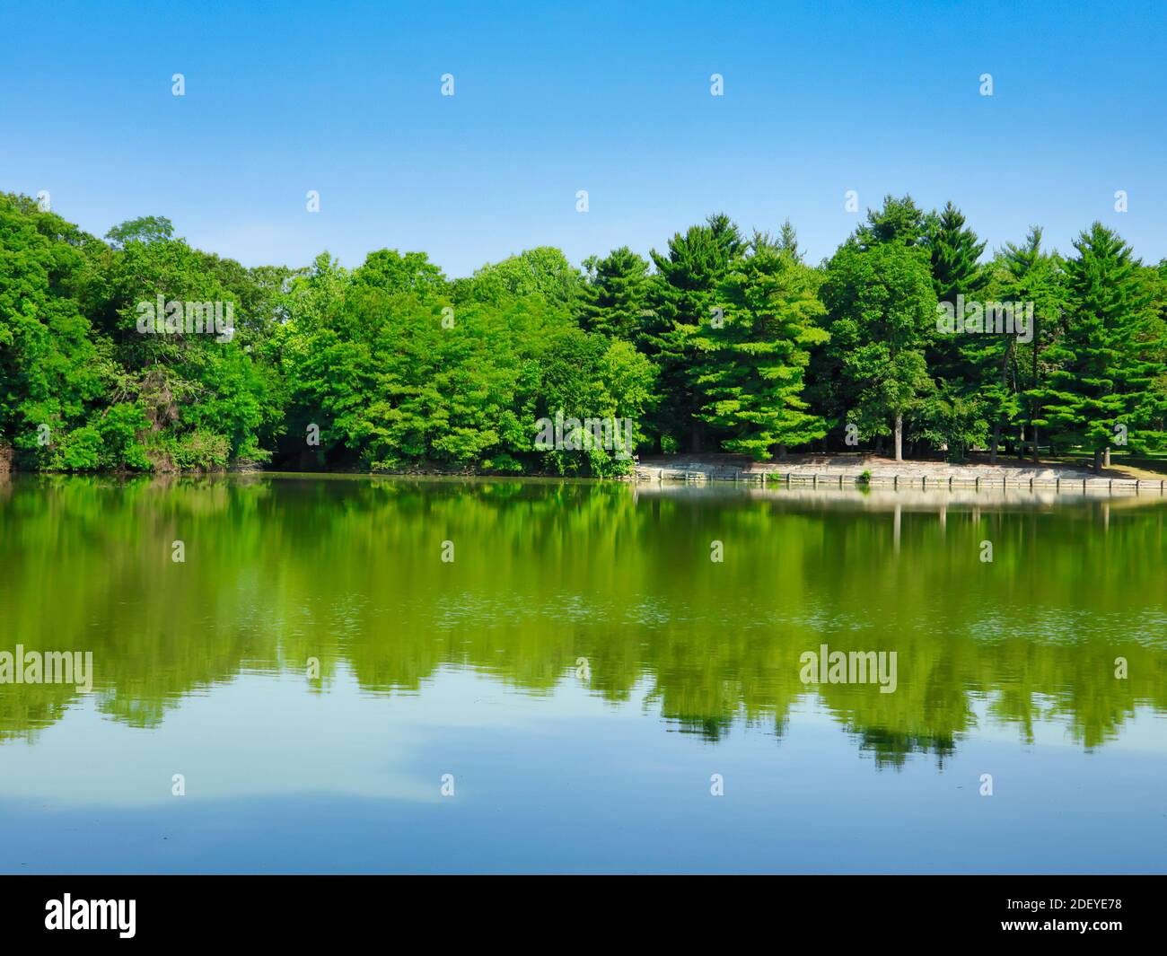 Gorgeous Lake Landscape with Luscious Green Trees on the Bank and ...