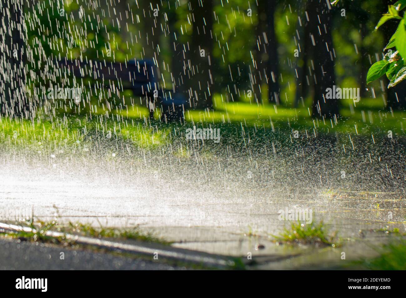 Pictures Of Rain Falling
