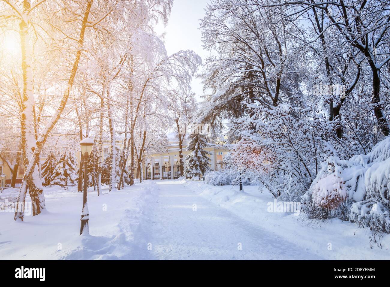Sunset or sunrise in a winter park with trees, benches and a pavement ...