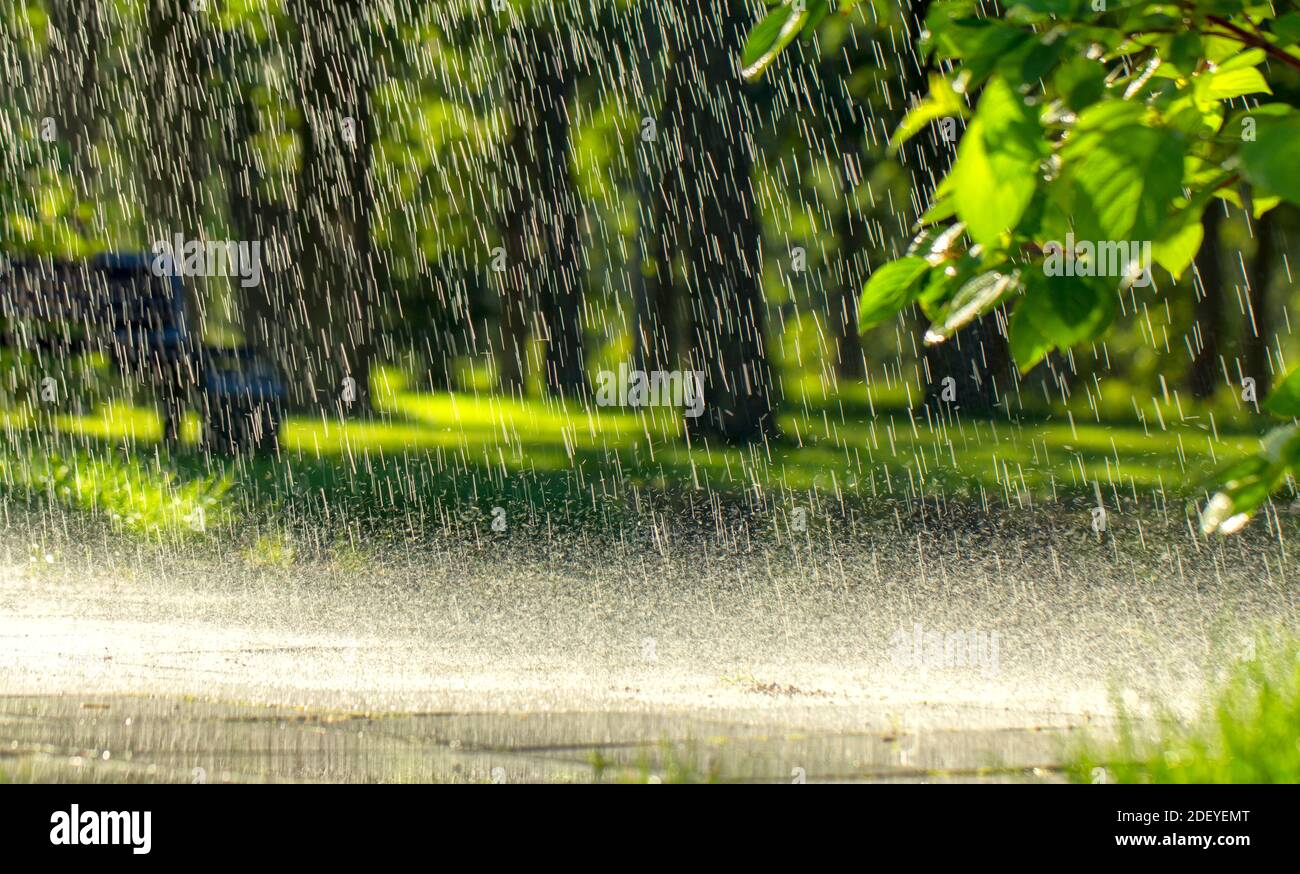 Warm street torrential rain hi-res stock photography and images - Alamy