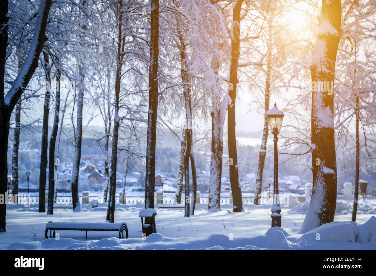 Sunset or sunrise in a winter park with trees, benches and a pavement ...