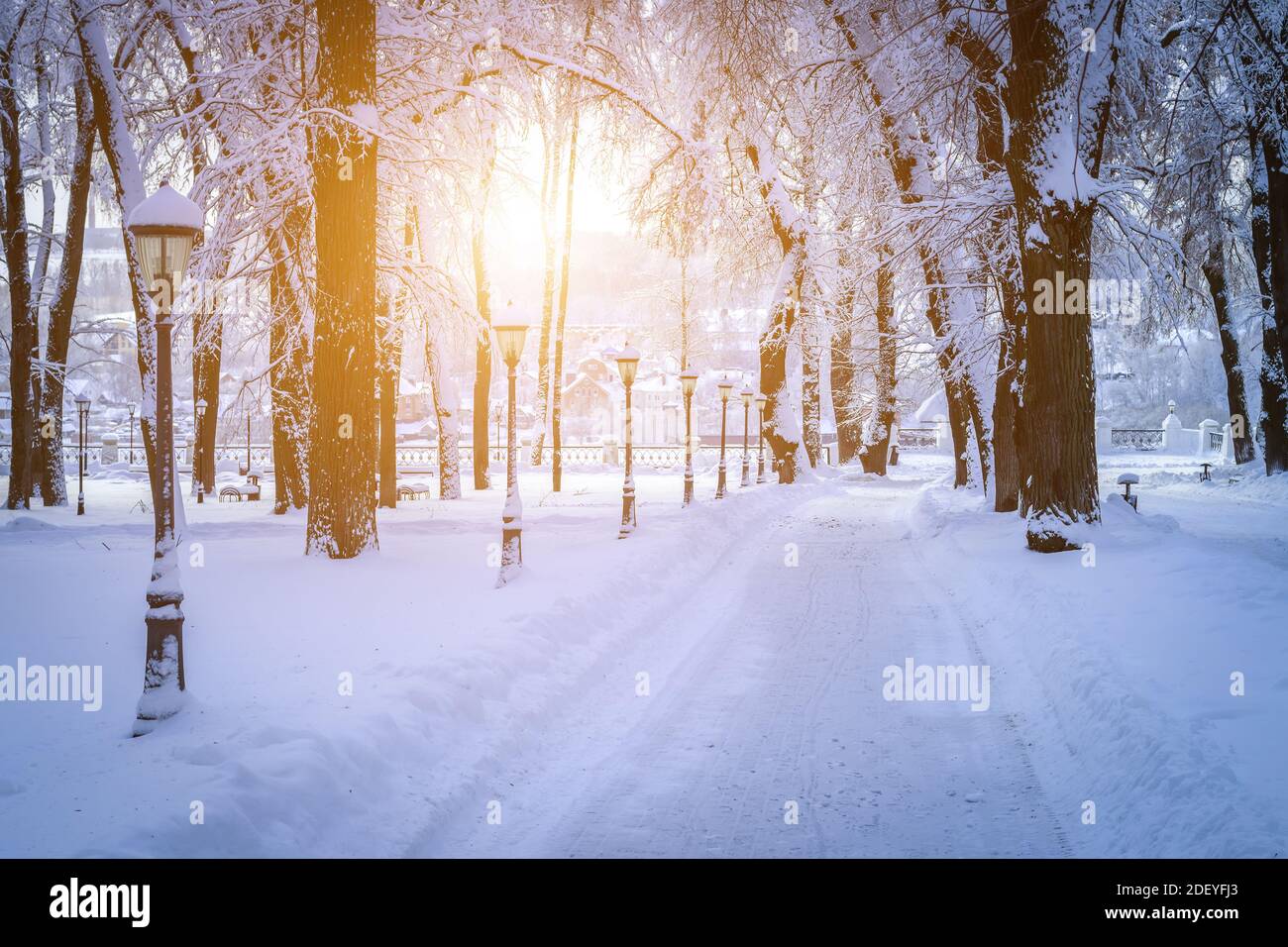 Sunset or sunrise in a winter park with trees, lanterns and a pavement ...