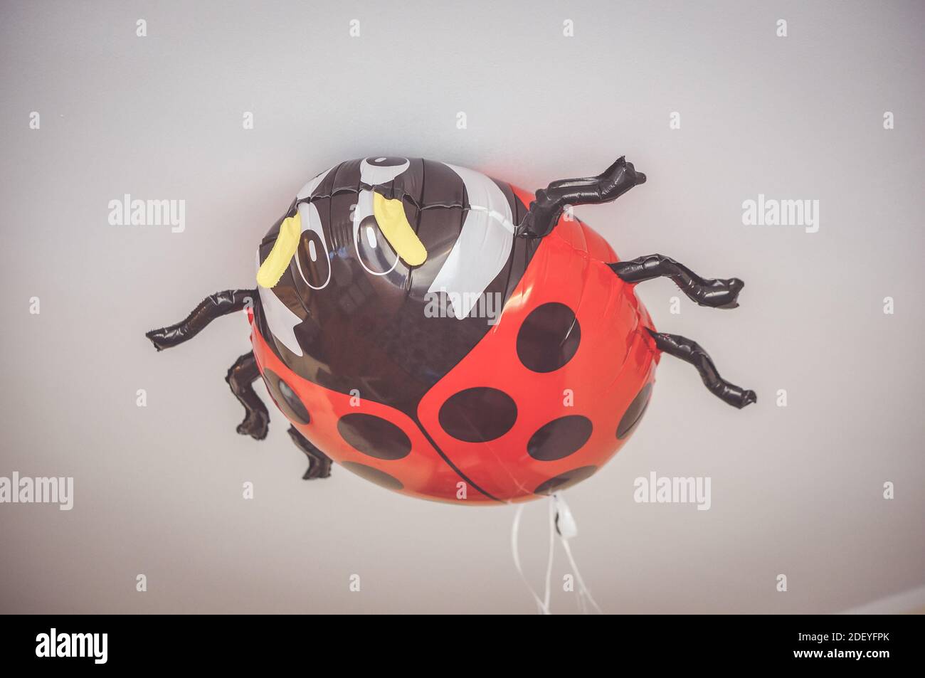 A view of a ladybug balloon on the ceiling Stock Photo - Alamy