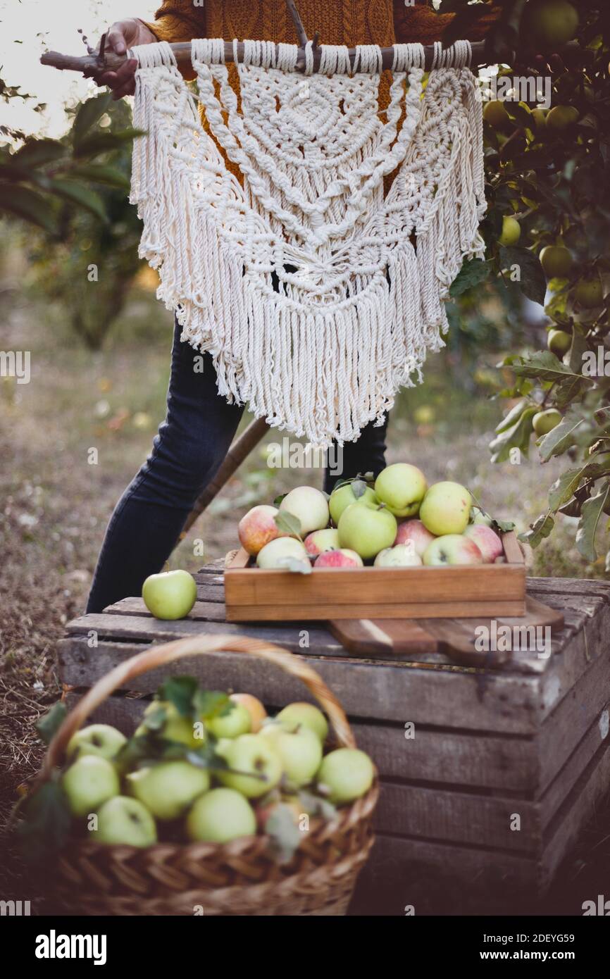 creation of a panel from macrame. girl with macram panel in the apple ...