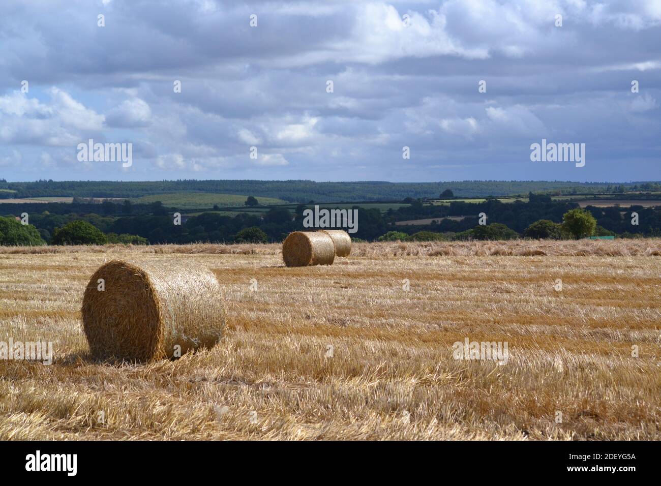 Hay day hi-res stock photography and images - Alamy