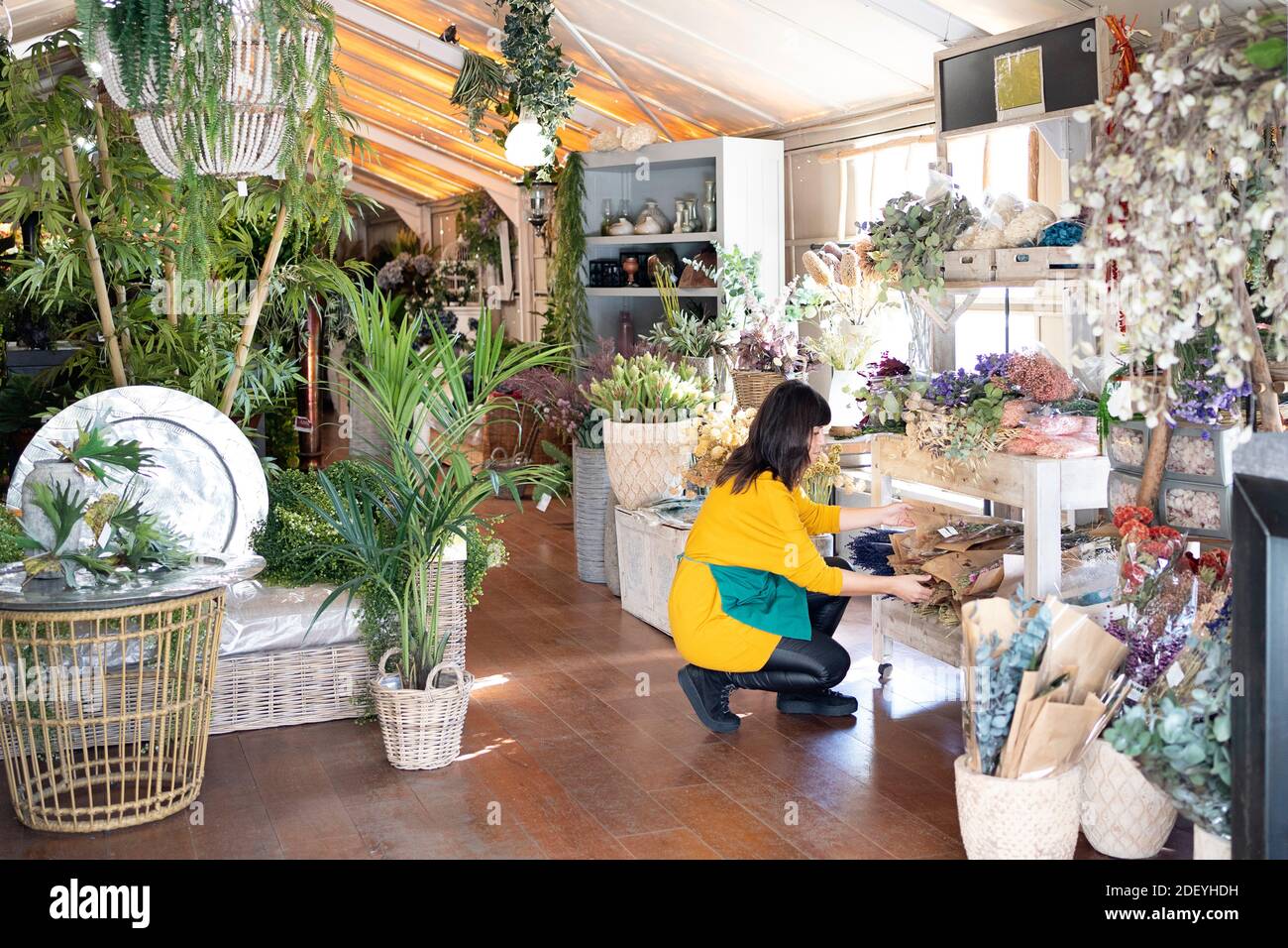 Stock photo of adult woman organizing flowers and plants in flower shop ...
