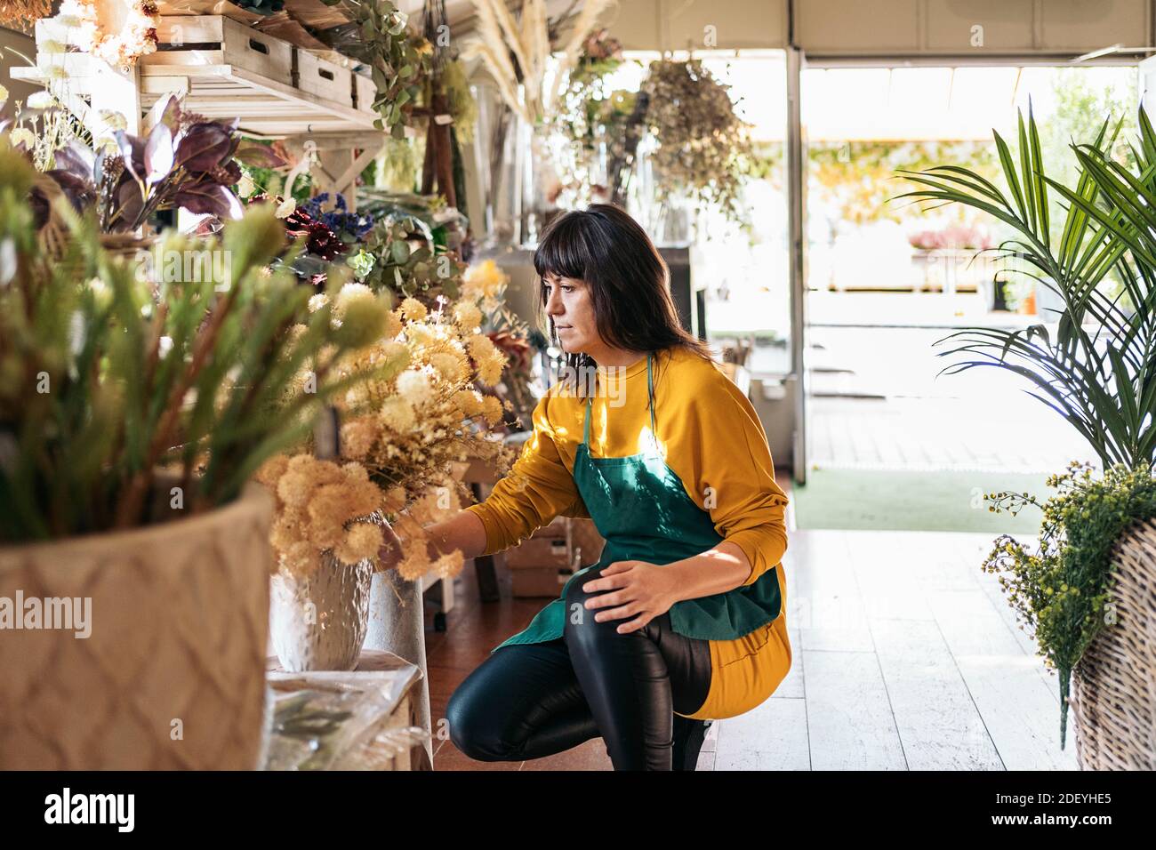 Stock photo of adult woman organizing flowers and plants in flower shop ...