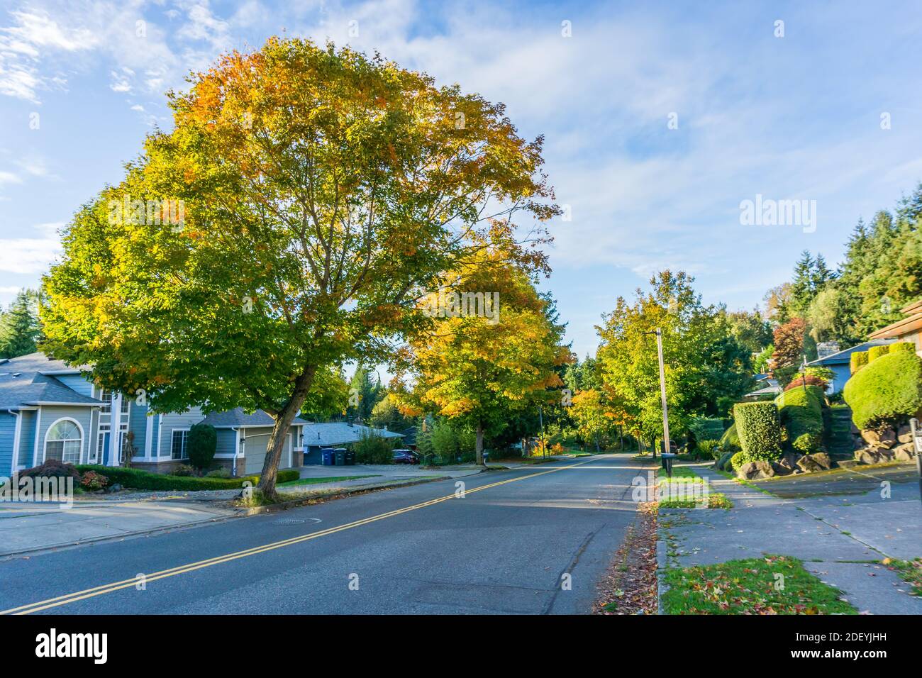 A view of a street in Burien, Washington in the autumn Stock Photo - Alamy