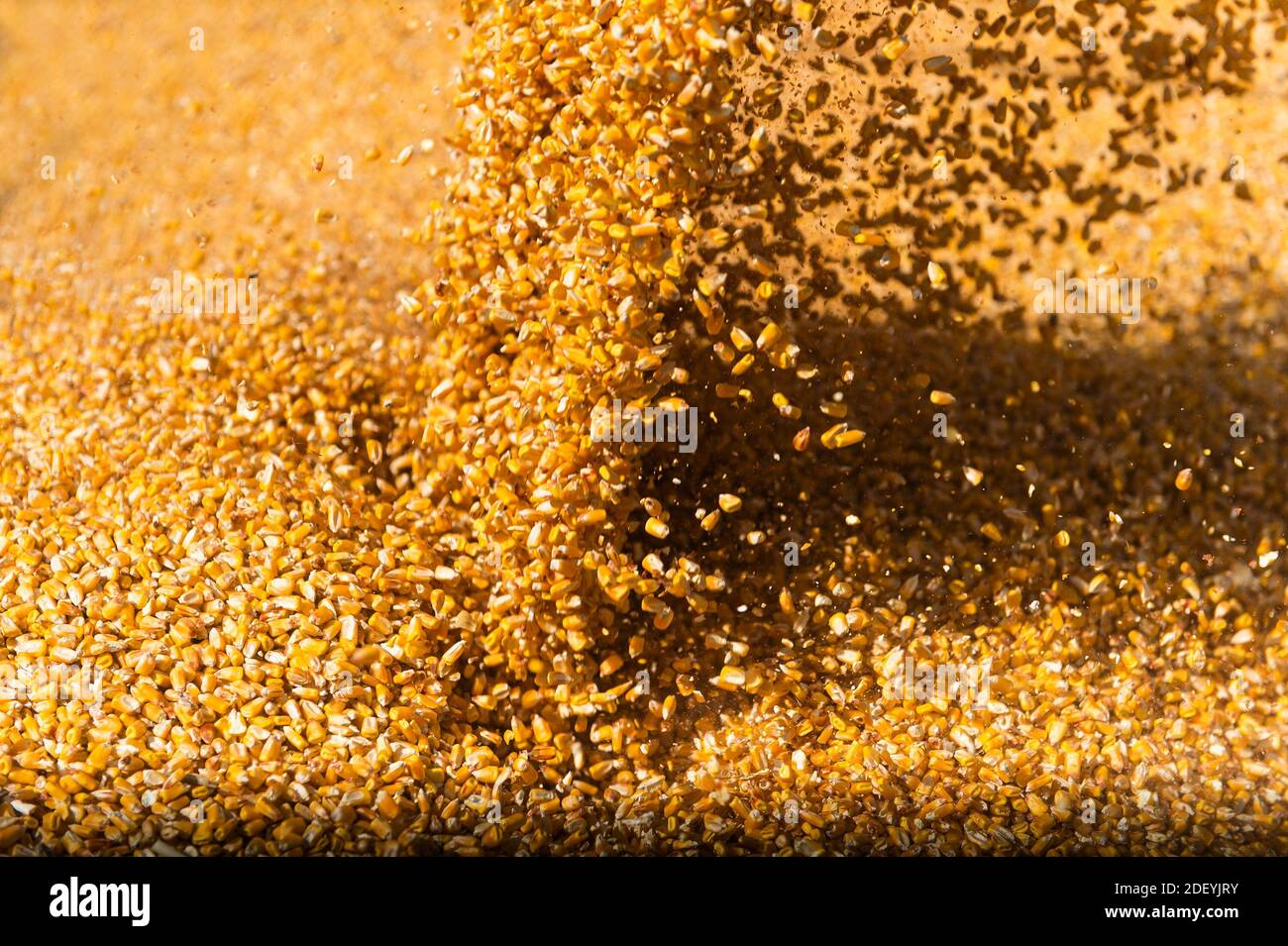 Grain auger of combine pouring corn into tractor trailer Stock Photo ...