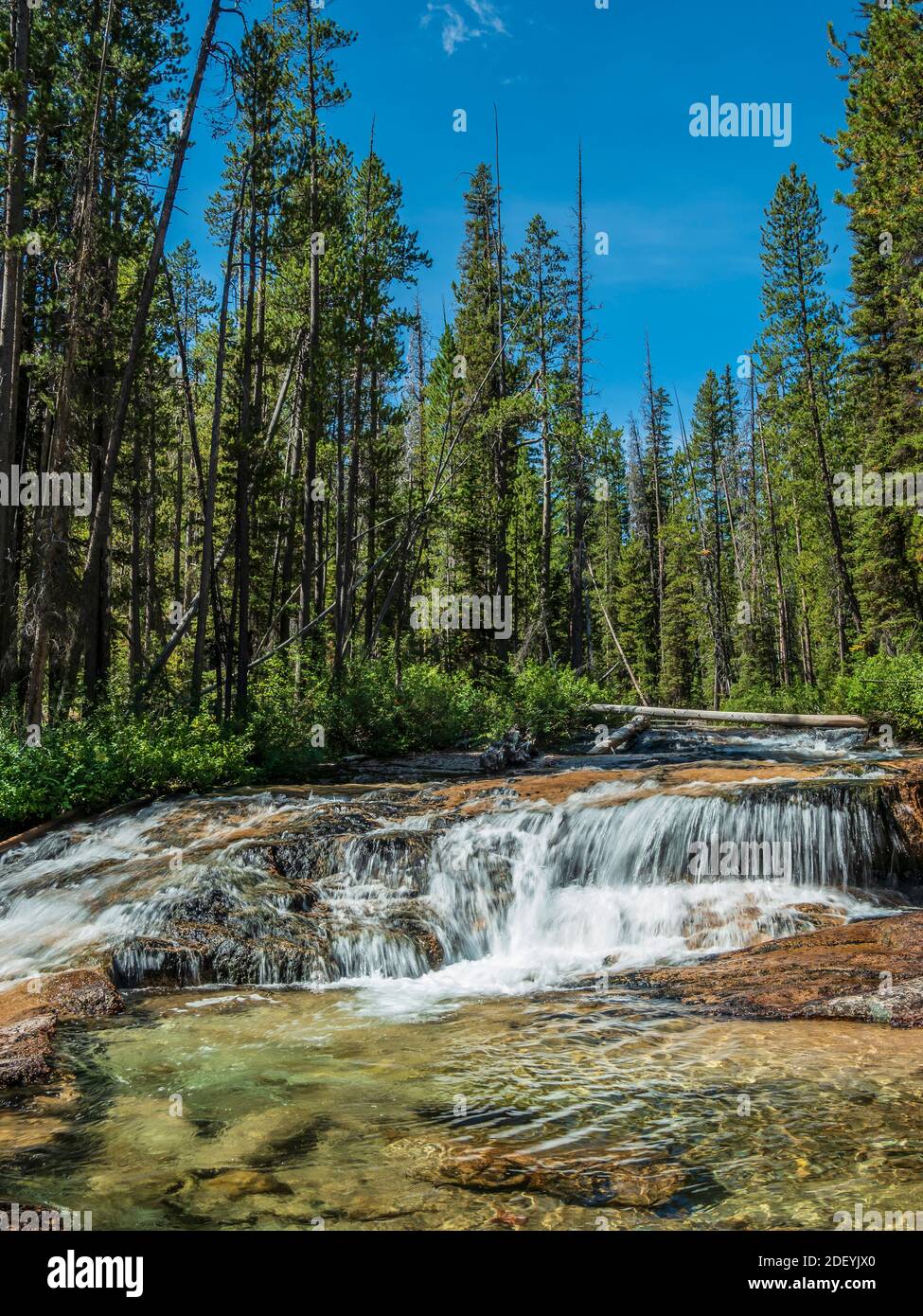 Water cascade on Redfish Lake Creek, Redfish Lake Creek Trail, Sawtooth ...