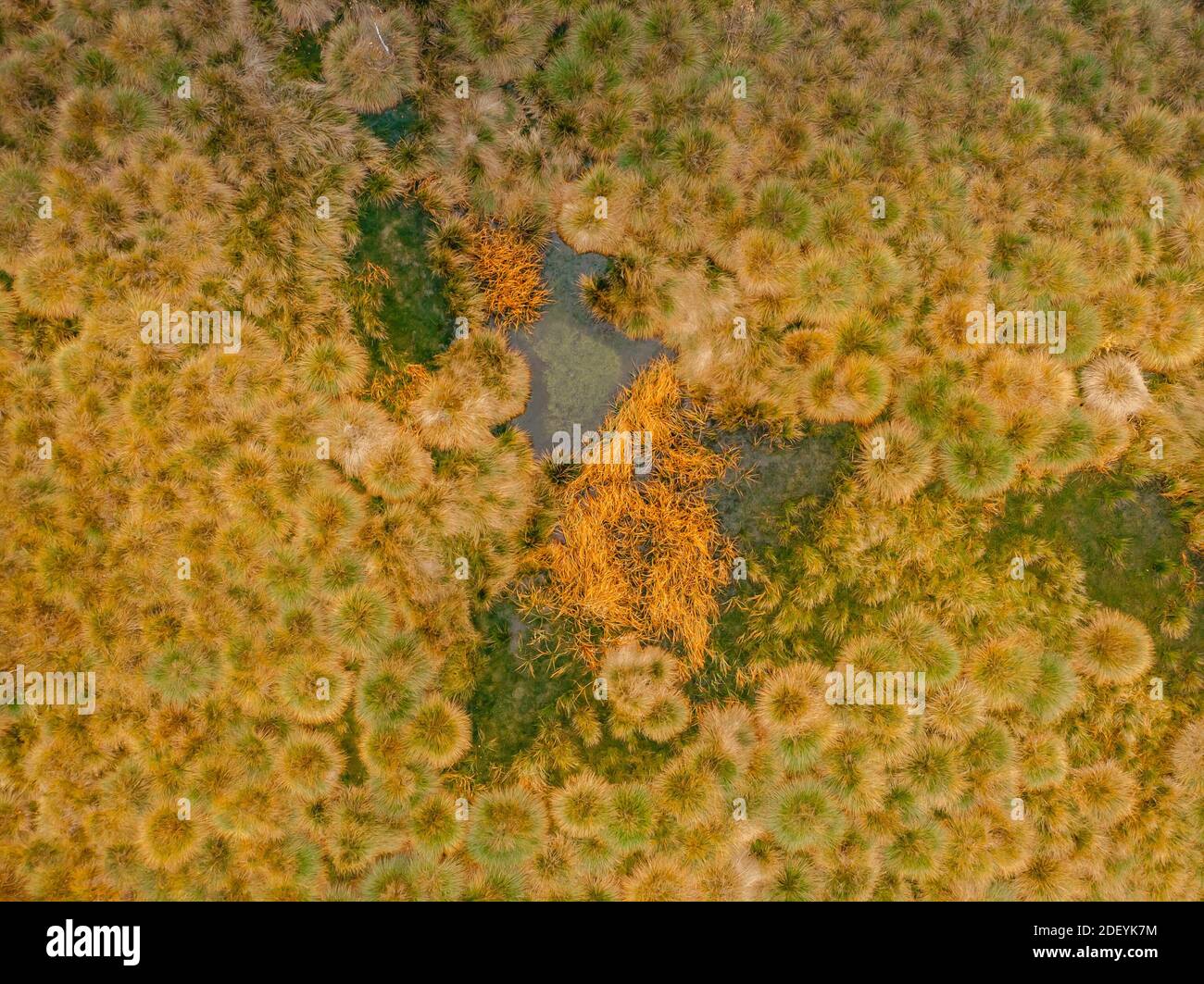 Peat basin hi-res stock photography and images - Alamy