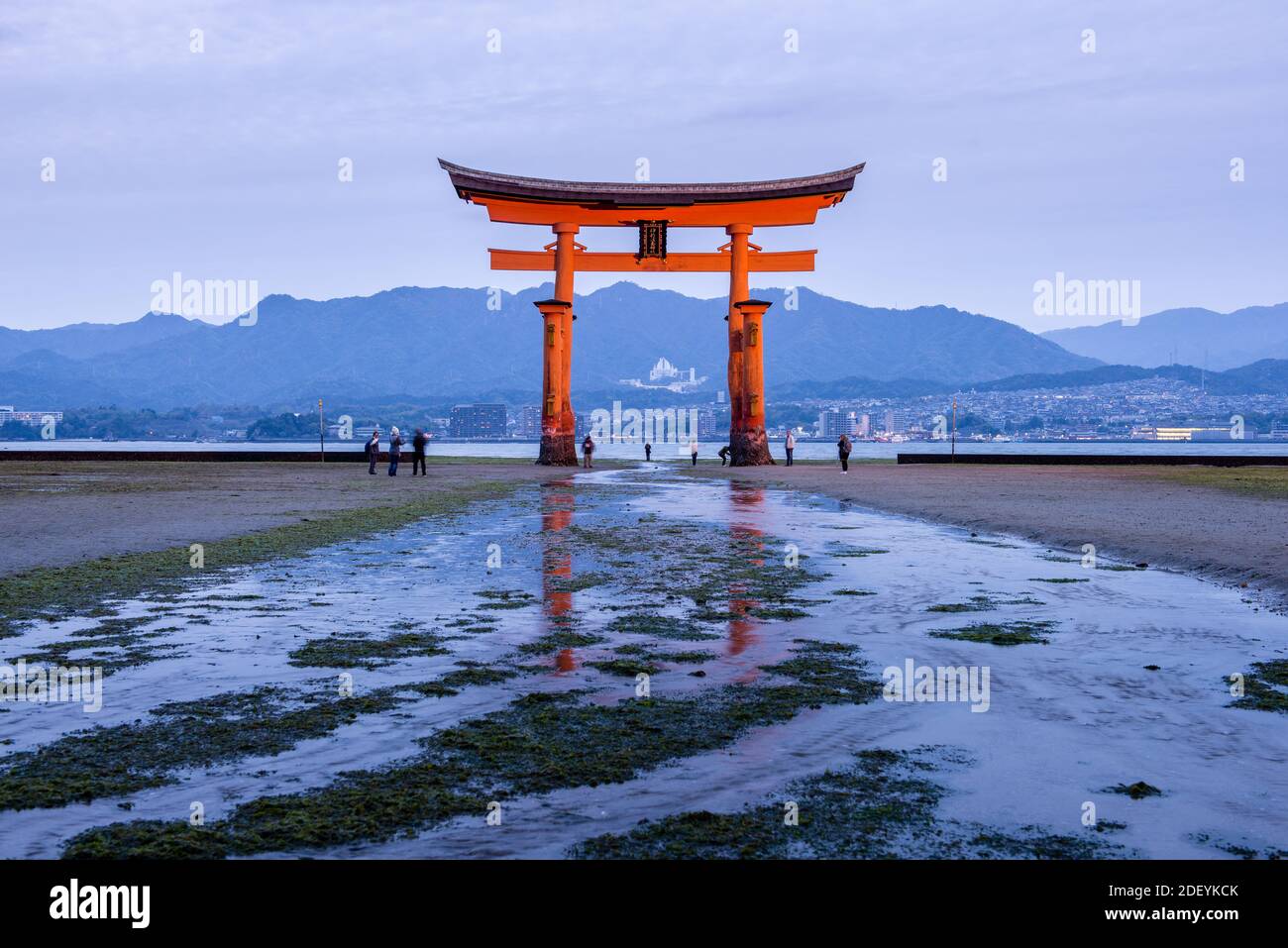 Big Torii at Irsukushima Shrine during low tide at dusk Stock Photo - Alamy