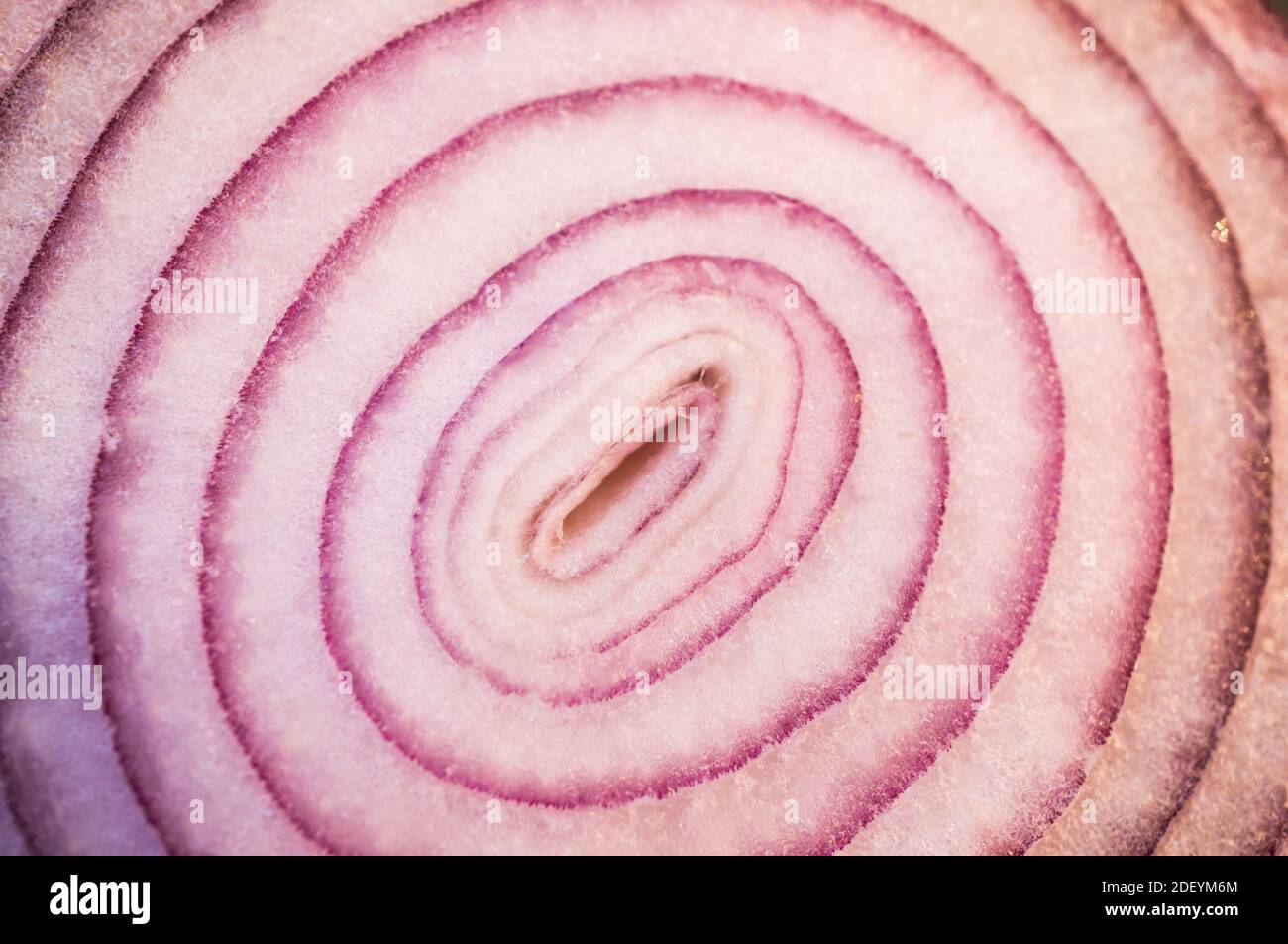 A macro shot of of the rings of a red onion Stock Photo - Alamy