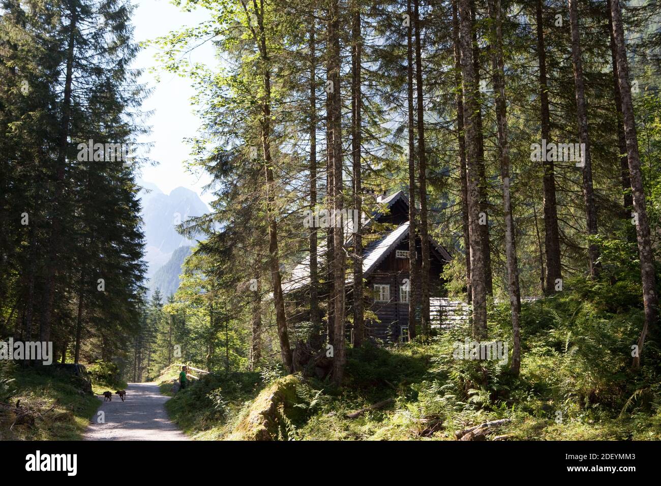 Ranger cabin hi-res stock photography and images - Alamy