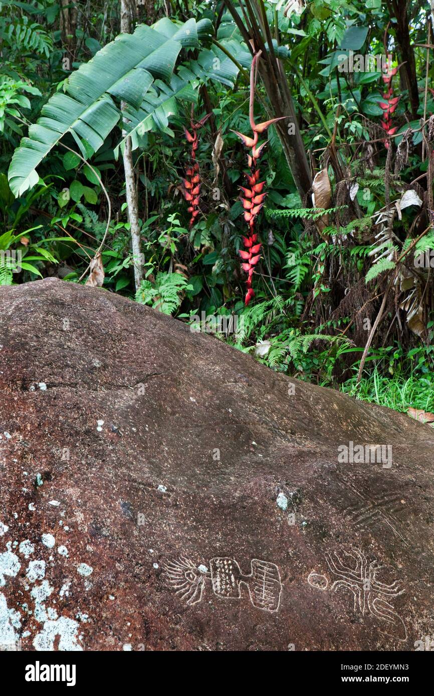 indigenous stone carving in jungle Stock Photo - Alamy