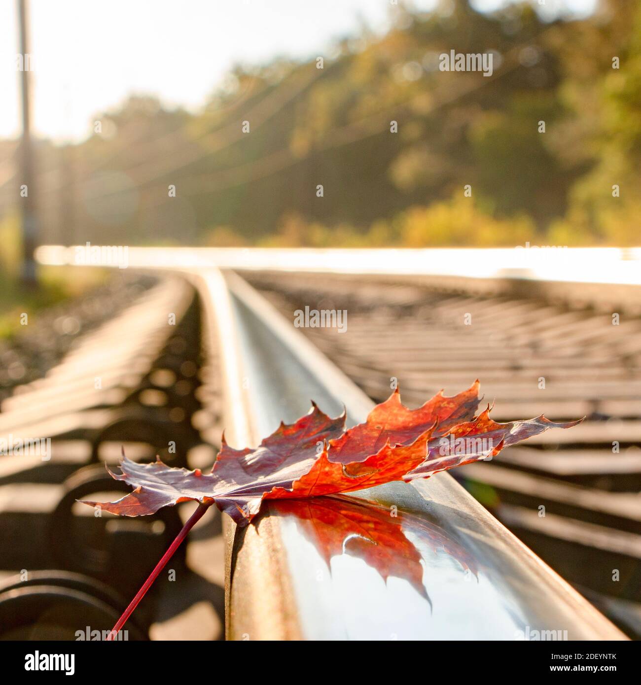 Yellow maple leaf on old rusty rails. Concept of loneliness and the ...