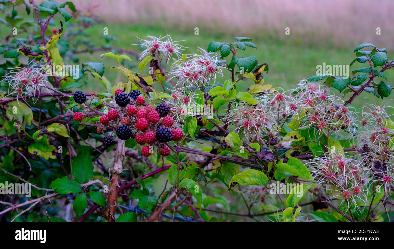 September 2020 landscape uk hi-res stock photography and images - Alamy