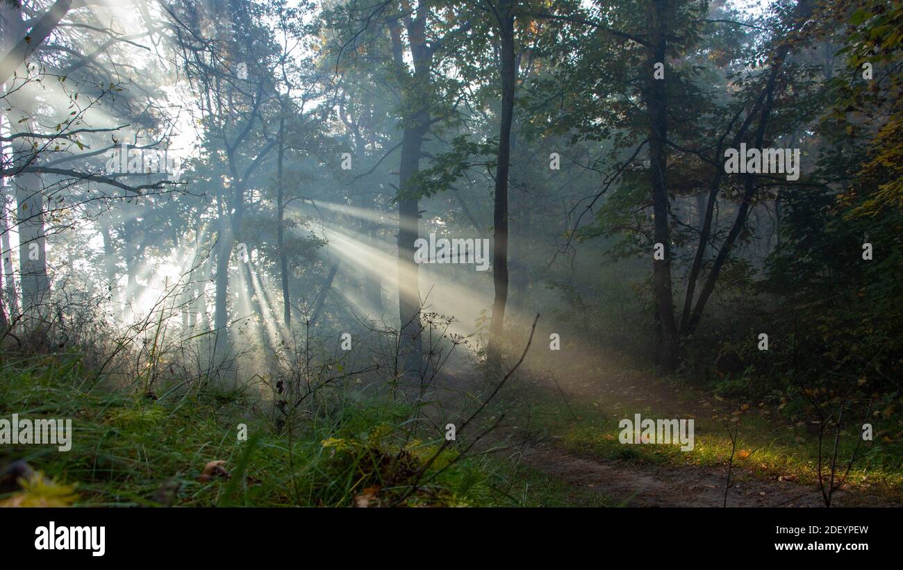 Morning freshness in a beautiful autumn face, a ray of sunshine passes ...