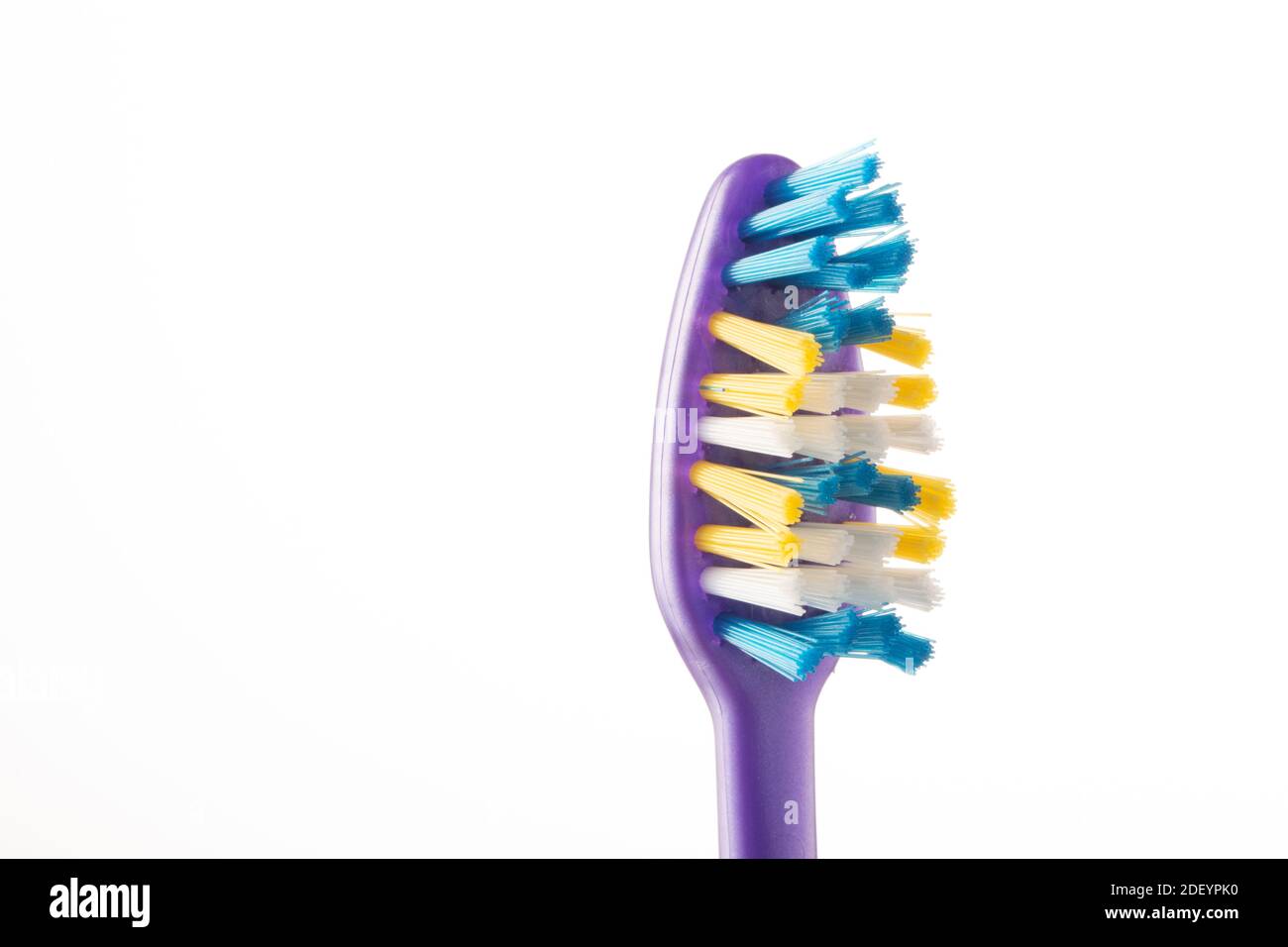 Purple toothbrush head on white background close-up Stock Photo - Alamy