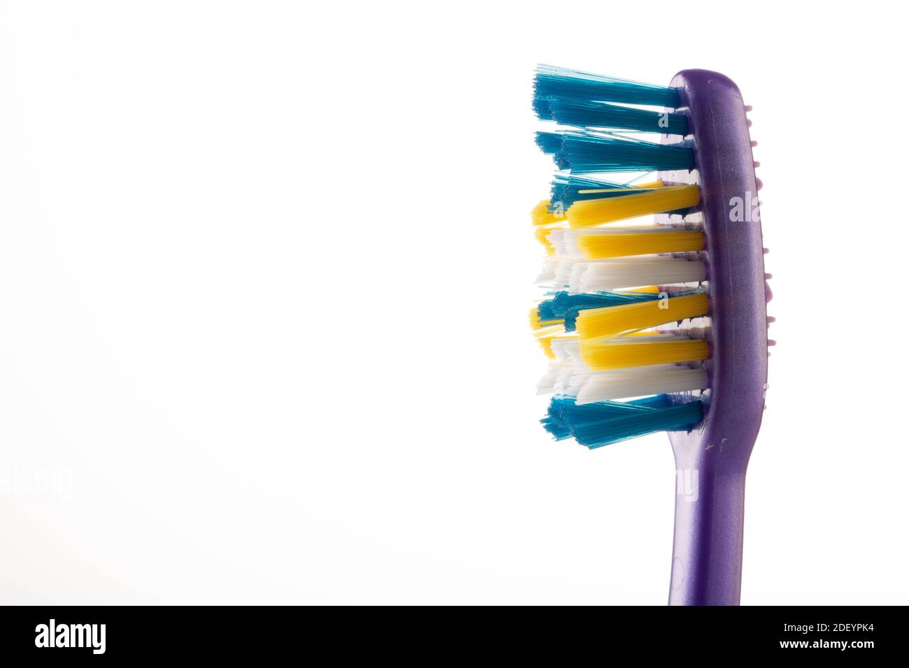 Purple toothbrush head on white background close-up Stock Photo - Alamy