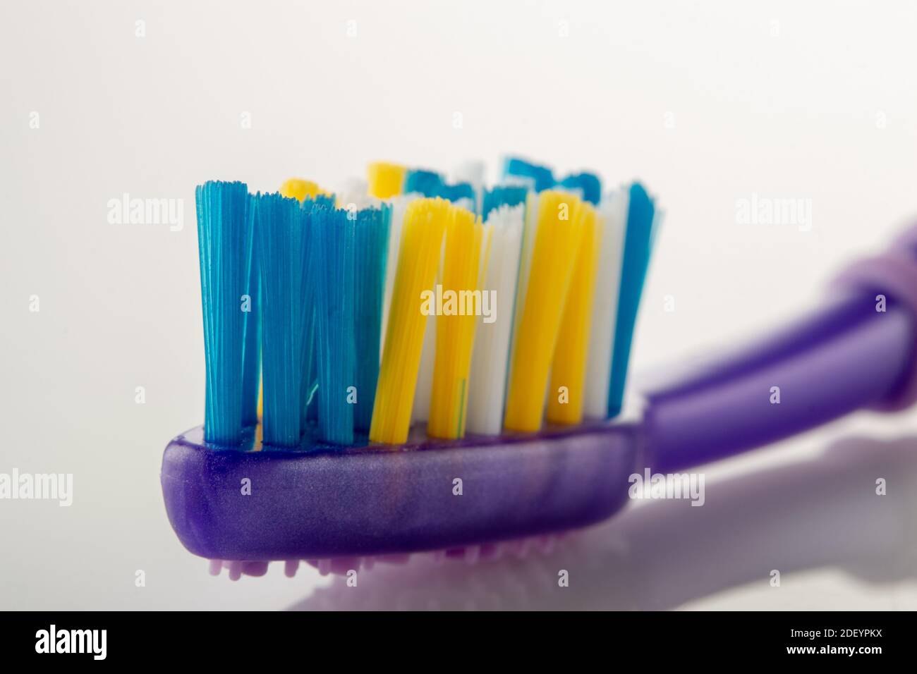 Purple toothbrush head on white background close-up Stock Photo - Alamy