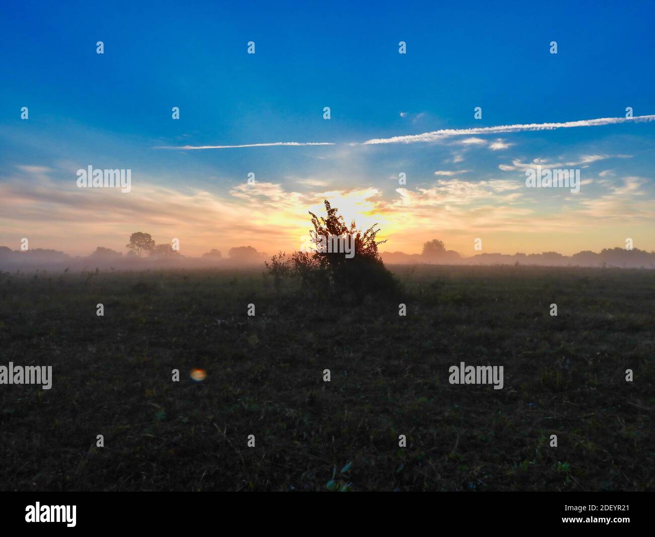 Morning Sunrise Over a Bush on the Prairie as the Sun Lights up Blue ...