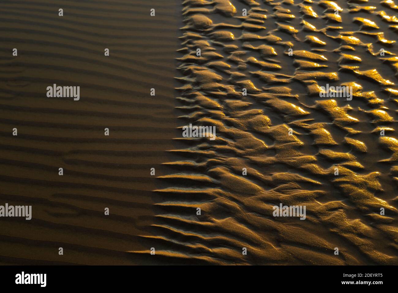 Abstract view of natural sand dune formation at the beach. Curly sand ...