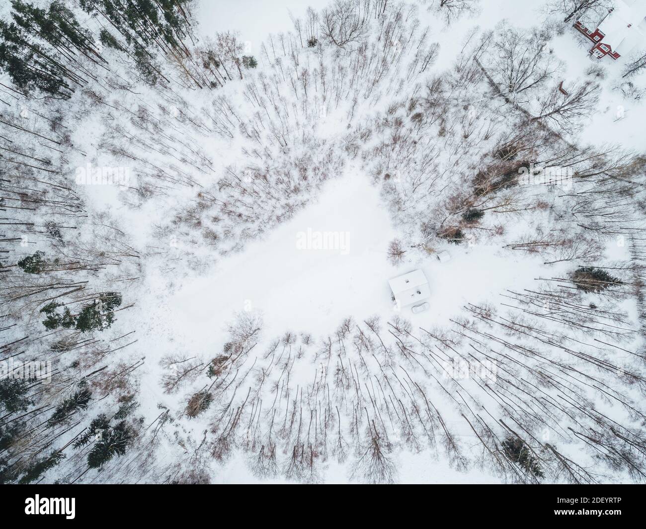An aerial view of a beautiful winter landscape with fir trees and ...